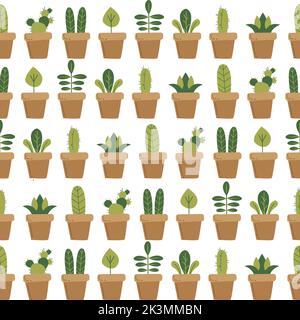 3d illustration of potted palm isolated on white background Stock Photo ...