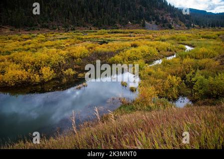 Golden meadows along a meandering stream in West Yellowstone, Montana ...