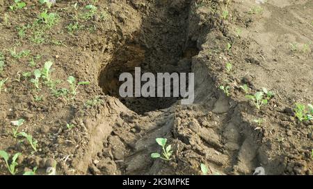Fields erosion damage soil hole pit inappropriately managed soil earth ...