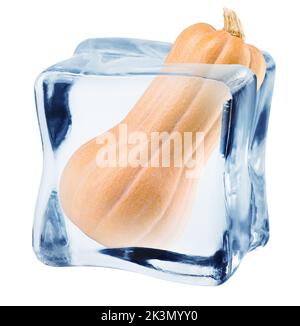 Wet pumpkin butternut squash isolated on black background Stock Photo ...