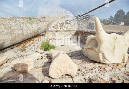 The Hattian and Hittite Ruins of Alaca Hoyuk Stock Photo - Alamy