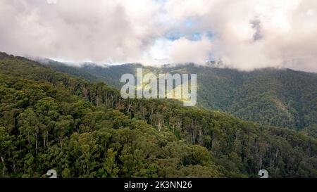 Aerial view of the D'aguilar National Park Stock Photo - Alamy