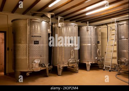 Stages of wine production from fermentation to bottling, visit to wine ...