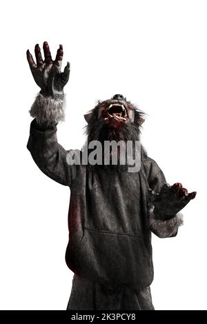 Werewolf isolated over white background Stock Photo - Alamy