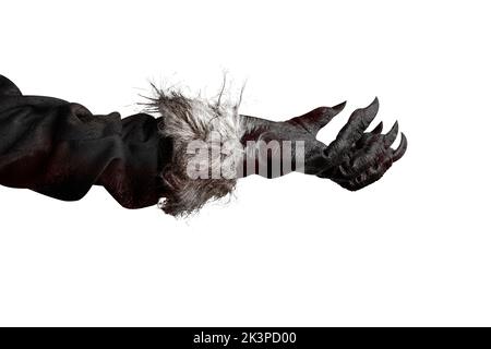 Werewolf hand isolated over white background Stock Photo - Alamy