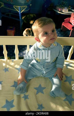 LIAM OR RYAN FALCONER, SON OF THE MASK, 2005 Stock Photo - Alamy