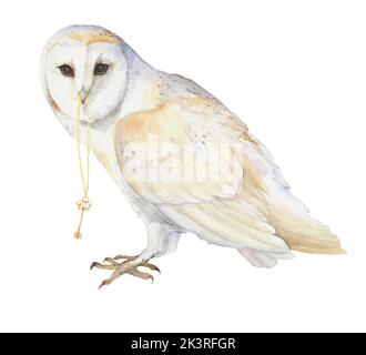 Watercolor illustration of owl with key isolated Stock Photo - Alamy