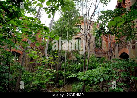 The brick ruin after the old sugar mill factory (In swedish: sockerbruk ...