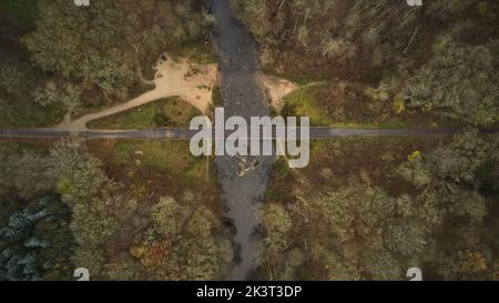 steel bridge in the forest in denmark Stock Photo - Alamy