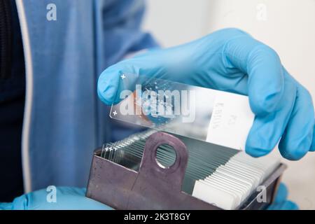 Scientist placing slides with paraffin embedded tissue samples into a ...