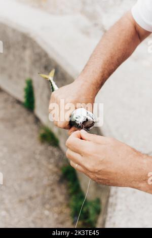 Man taking the hook out of the mouth of a fish that has just fished ...