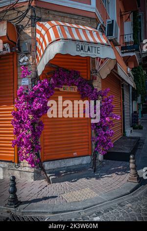 Postcards from beautiful and exotic Istanbul, Tiurkey (Türkiye Stock ...