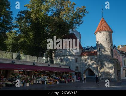 Viru Varav City Gate, Viru Street,Old Town,Tallinn,Estonia Stock Photo ...