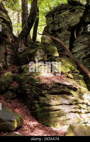 Rock formation and woodland landscape inside the Luxembourg at ...