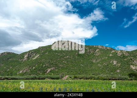 Scenic view of the Yagul Natural Monument of Oaxaca, Mexico Stock Photo ...