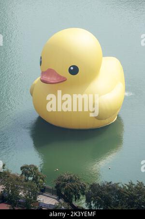 Giant 'Rubber Duck' sculpture by artist Florentijn Hofman swims in Phu ...
