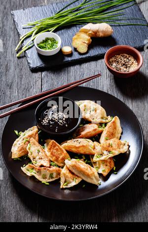 fried gyoza, wonton wrappers stuffed with pork and cabbage sprinkled ...