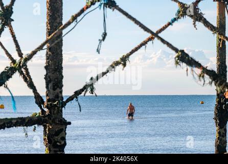 Brighton UK 29th September 2022 - A beautiful sunny morning for a walk ...
