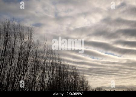 Row of wave shaped clouds, Stratocumulus stratiformis undulatus Stock ...