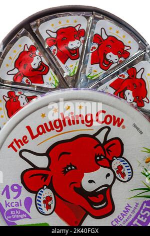 The Laughing Cow Lightest creamy 2% fat cheese spread triangles ...