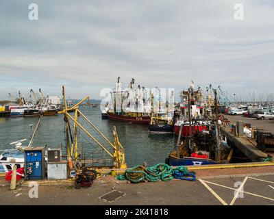 Some of Brixham's important fishing fleet of local day boats and large ...
