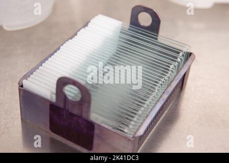 Slides with paraffin embedded tissue samples into a slide staining rack ...