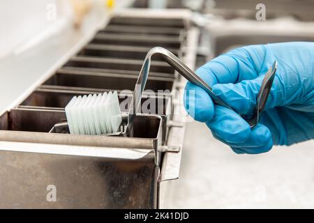 Slides with paraffin embedded tissue samples into a slide staining rack ...