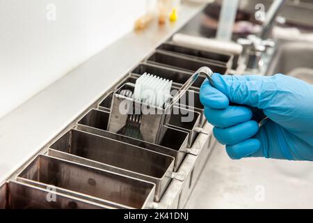 Slides with paraffin embedded tissue samples into a slide staining rack ...