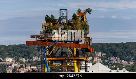 See Monster art installation Stock Photo - Alamy