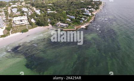 Point of Rocks snorkeling at Siesta Key Beach Stock Photo - Alamy