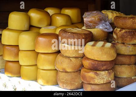 Cheese heads of different colors and sizes are stacked on counter. Fair ...