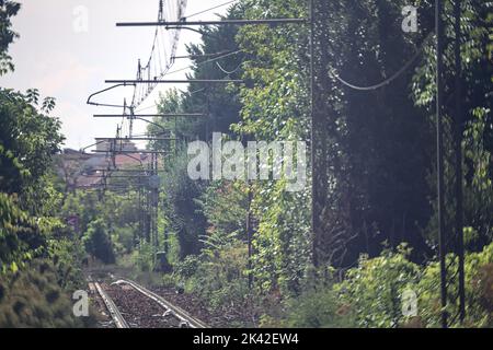 Railroad crossing with trees and buildings by its side at sunset Stock ...