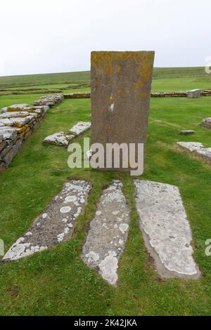 The replica Pictish stone and the remains of houses in Brough of Birsay ...