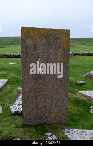 The replica Pictish stone and the remains of houses in Brough of Birsay ...