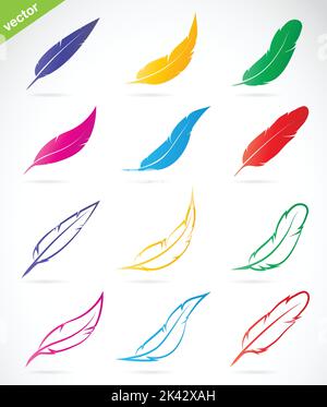 Bird feather for a quill. Tribal feather illustration for an ethnic ...