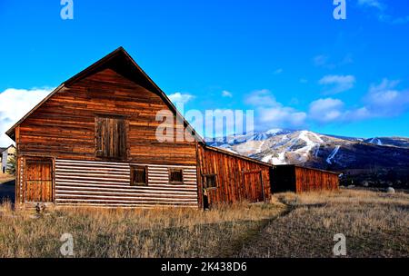 The old barn at Steamboat Springs, Colorado is an iconic fixture Stock ...