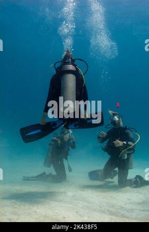 Scuba diver in practice Stock Photo - Alamy