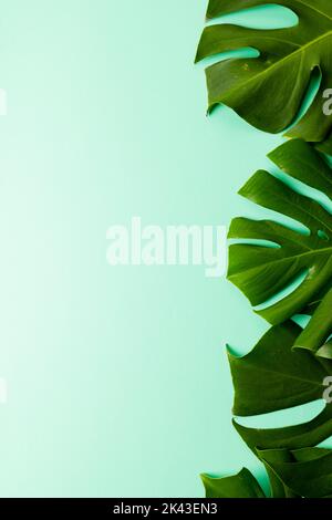 Animation of green lush leaves over green background with copy space ...