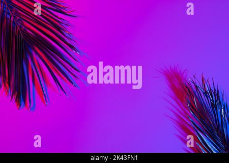 Image of leaves over pink neon rectangle on black background Stock ...