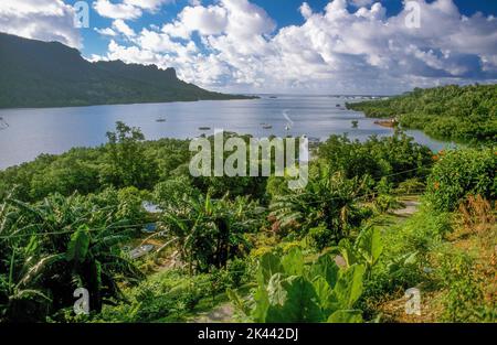 Pohnpei port, Pohnpei, Federated States of Micronesia Stock Photo - Alamy