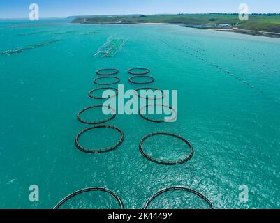 Aerial view of large fish farming unit on the sea, Taiwan Stock Photo ...