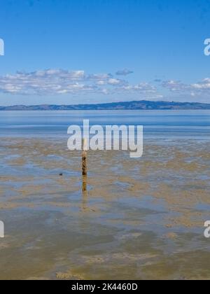 Old jetty post in shallow muddy harbour with rocky edge and mangrove ...