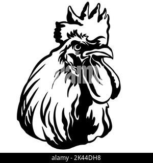 Outline sketch of rooster head in profile Stock Vector Image & Art - Alamy