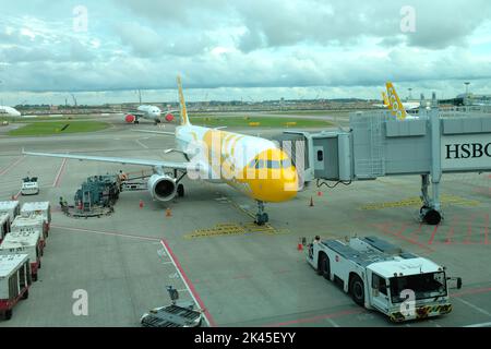 A Scoot aircraft on the gate at Changi airport, Singapore Stock Photo ...