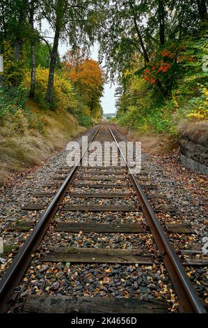 Railway with autumn trees on the sides Stock Photo - Alamy