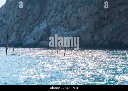 Scenic panoramic view of Balaclava bay with yachts from the ruines of ...