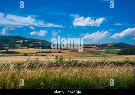 Colfiorito. Fields of flowers and nature of Umbria Stock Photo - Alamy