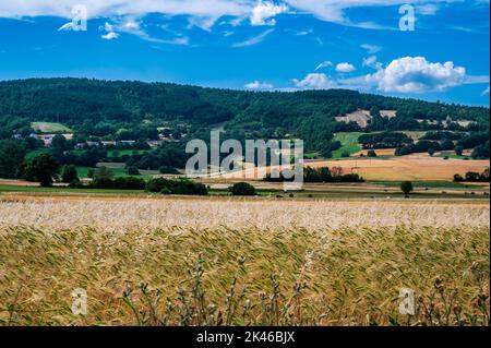 Colfiorito. Fields of flowers and nature of Umbria Stock Photo - Alamy