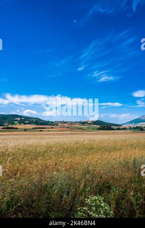 Colfiorito. Fields of flowers and nature of Umbria Stock Photo - Alamy