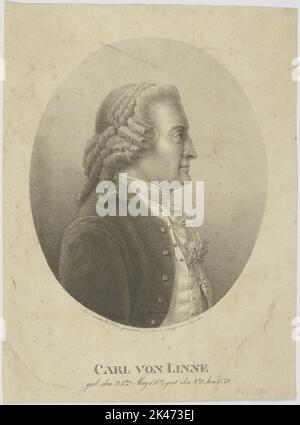 This 18th-century portrait of Carl Linnaeus (1707-1778), painted by ...